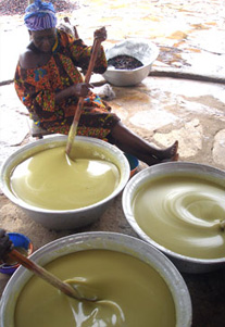 Shea Butter as a Hair Treatment - Medicinal Herb Info